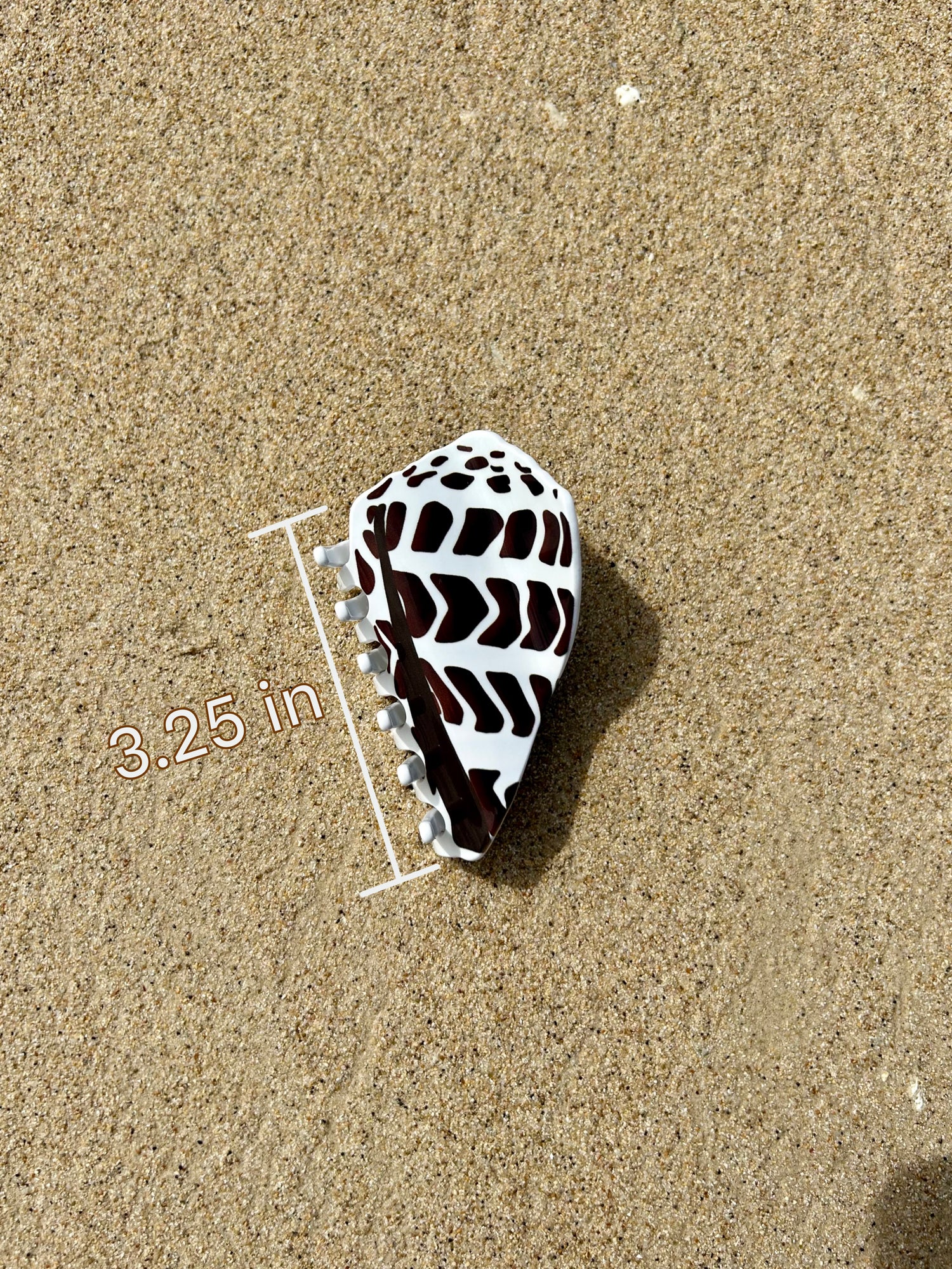 Hebrew Shell Clip – Kahomelani's LLC