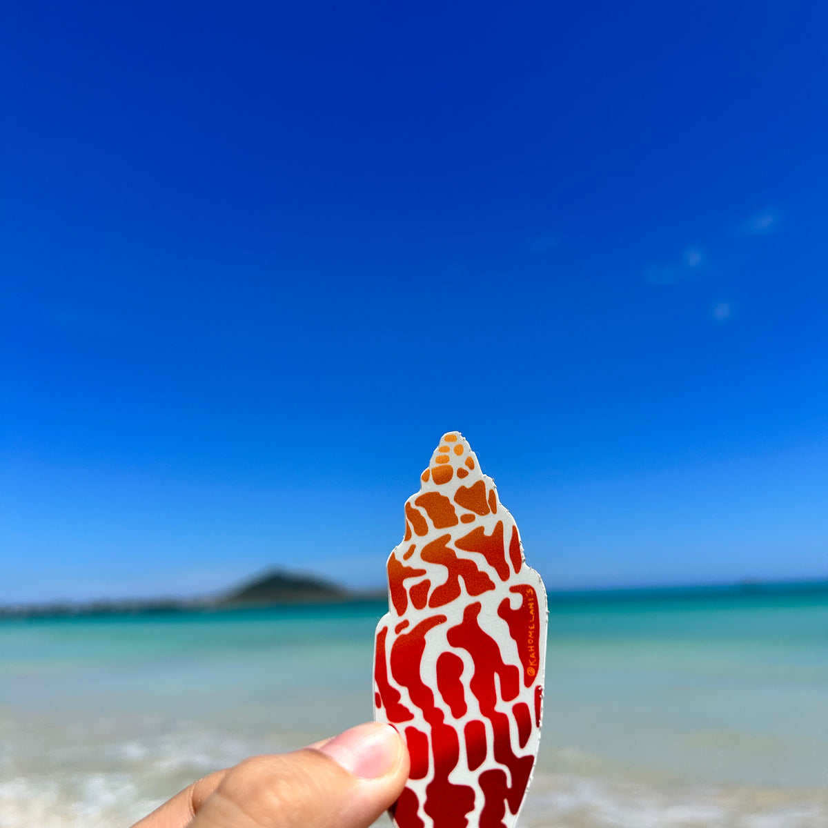 Miter Shell Sticker – Kahomelani's LLC